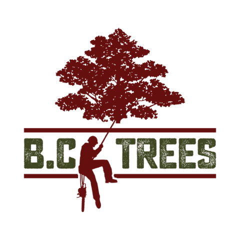 B.C. Trees